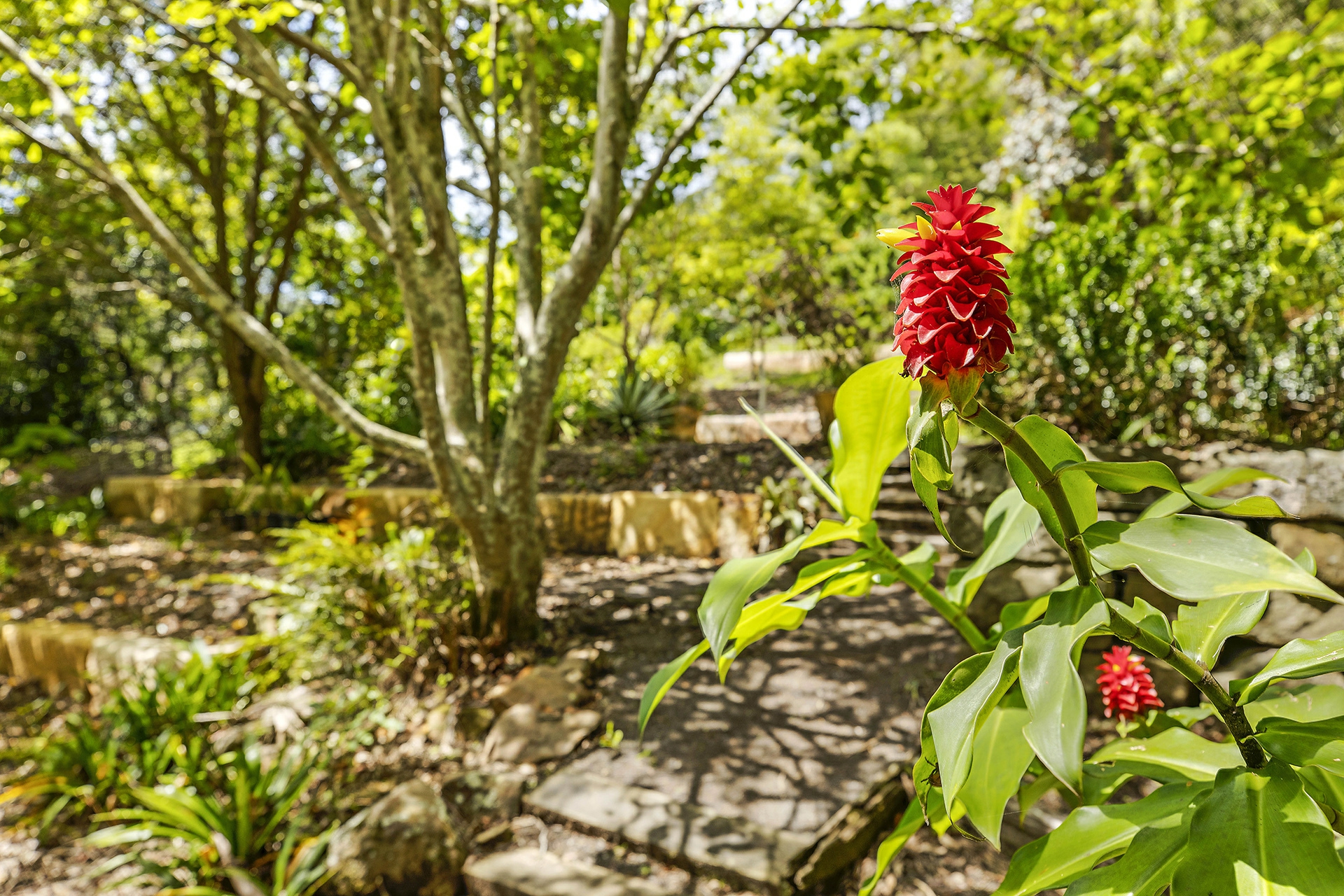 220 Matcham Road Matcham NSW - Property Details - LJ Hooker