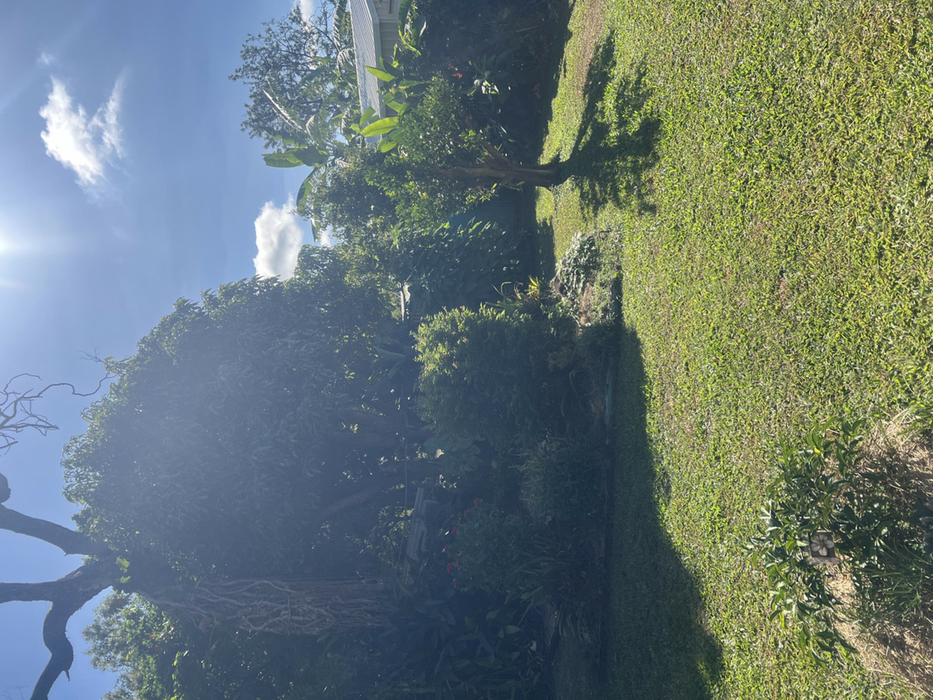 12 Cassia Street Walkamin QLD - Property Details - LJ Hooker