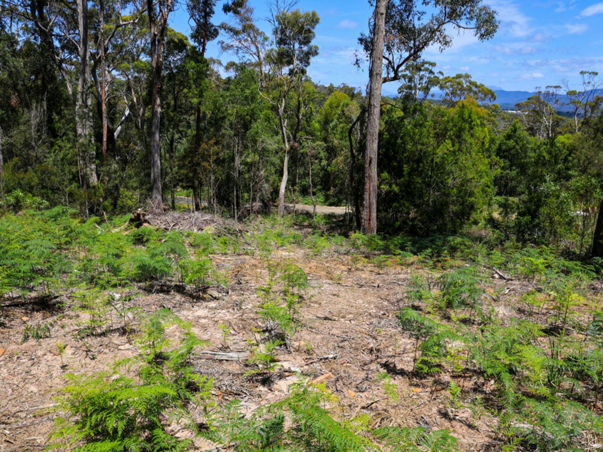 Lot 1 Wesley Vale Road Wesley Vale TAS - Property Details - LJ Hooker