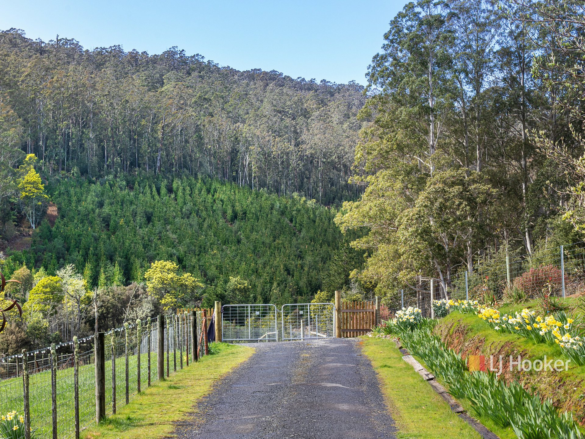 1089 Loongana Road Nietta TAS - Property Details - LJ Hooker