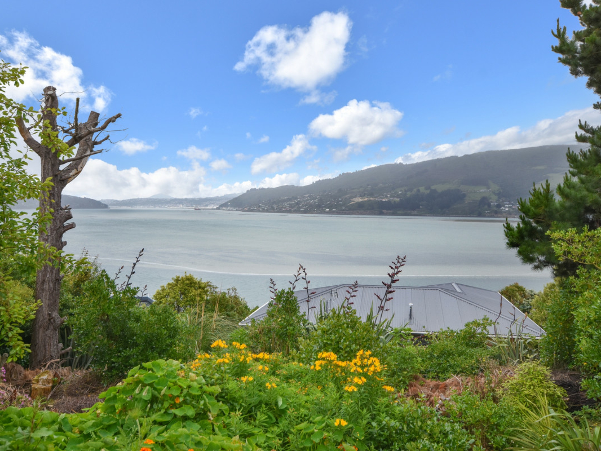 35 Bayne Terrace Macandrew Bay - Property Details - LJ Hooker