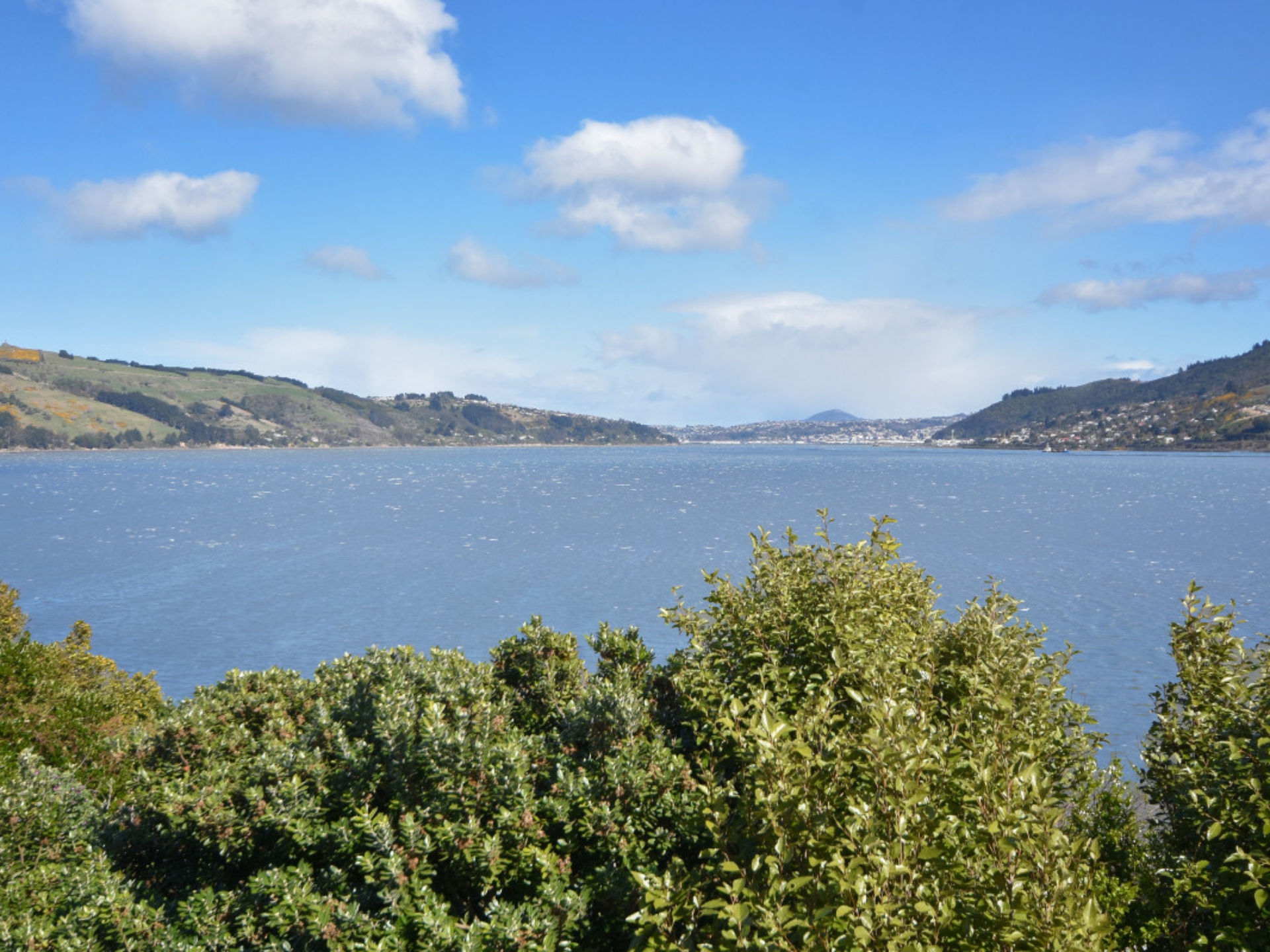 22 Bayne Terrace Macandrew Bay - Property Details - LJ Hooker