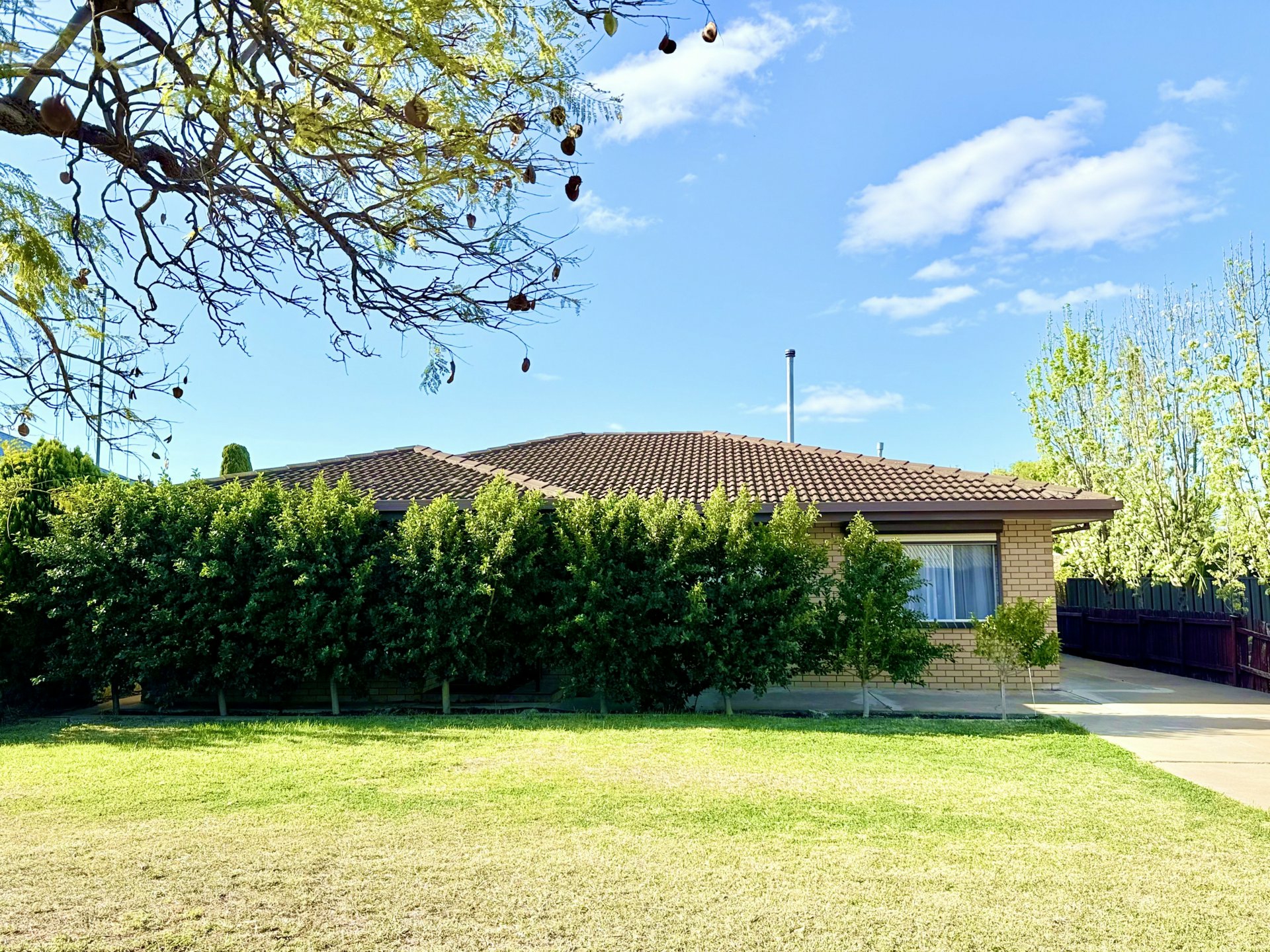 12 Parnee Street Swan Hill VIC - Property Details - LJ Hooker