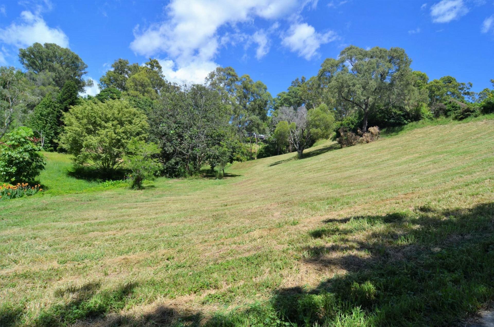 99B Tallai Road Tallai QLD - Property Details - LJ Hooker