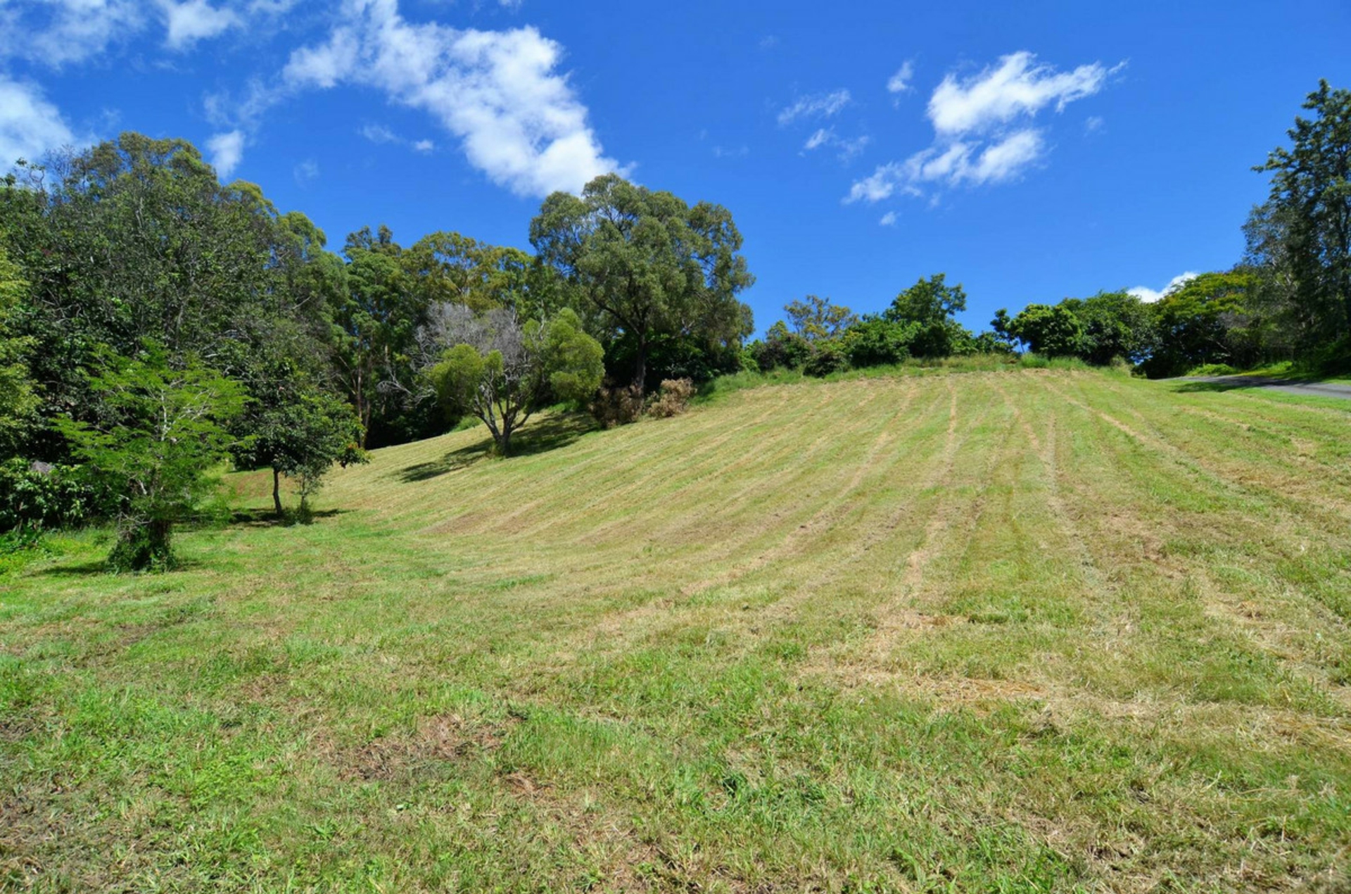 99B Tallai Road Tallai QLD - Property Details - LJ Hooker