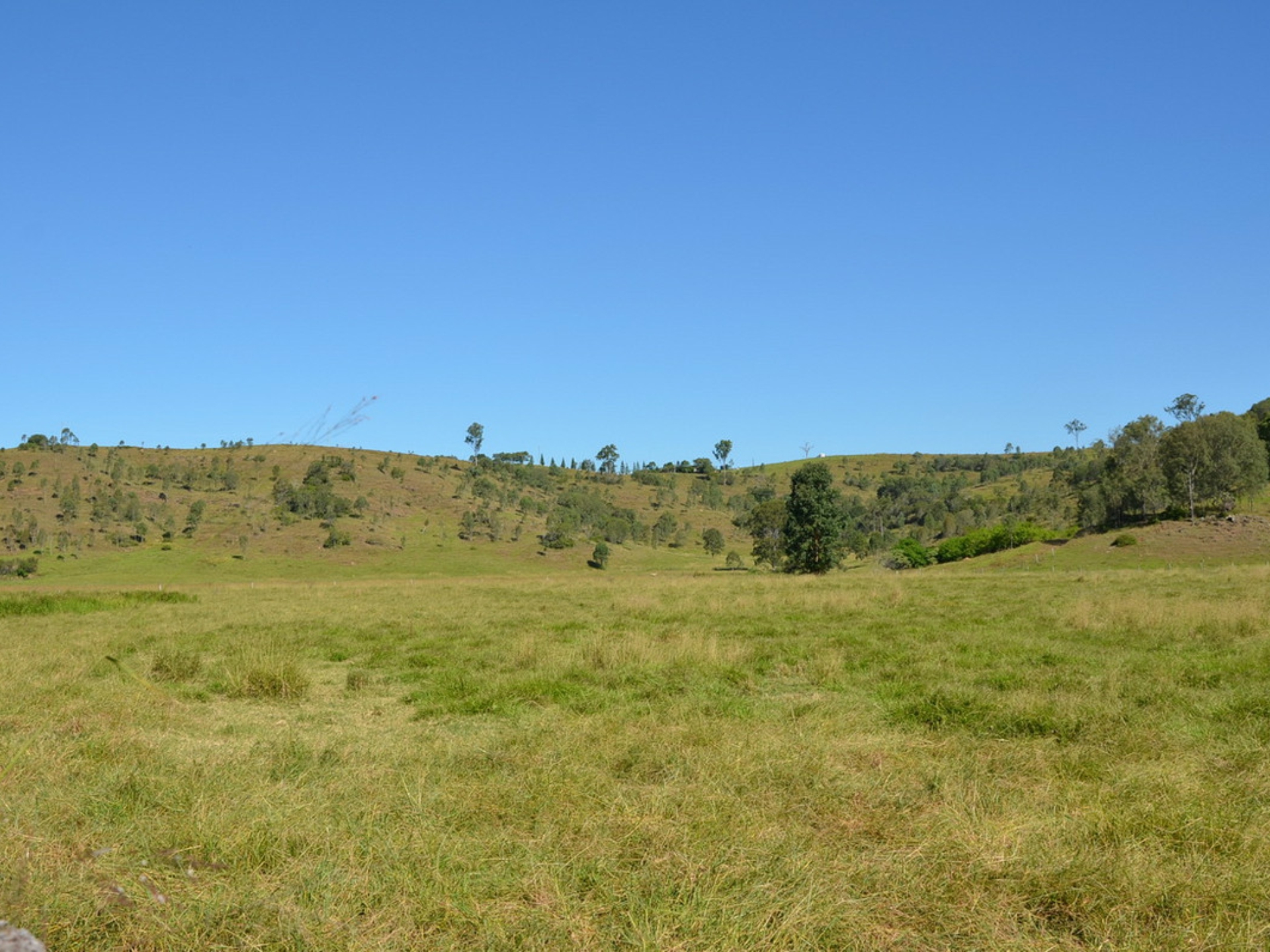 9 Kooralbyn Road Laravale QLD - Property Details - LJ Hooker