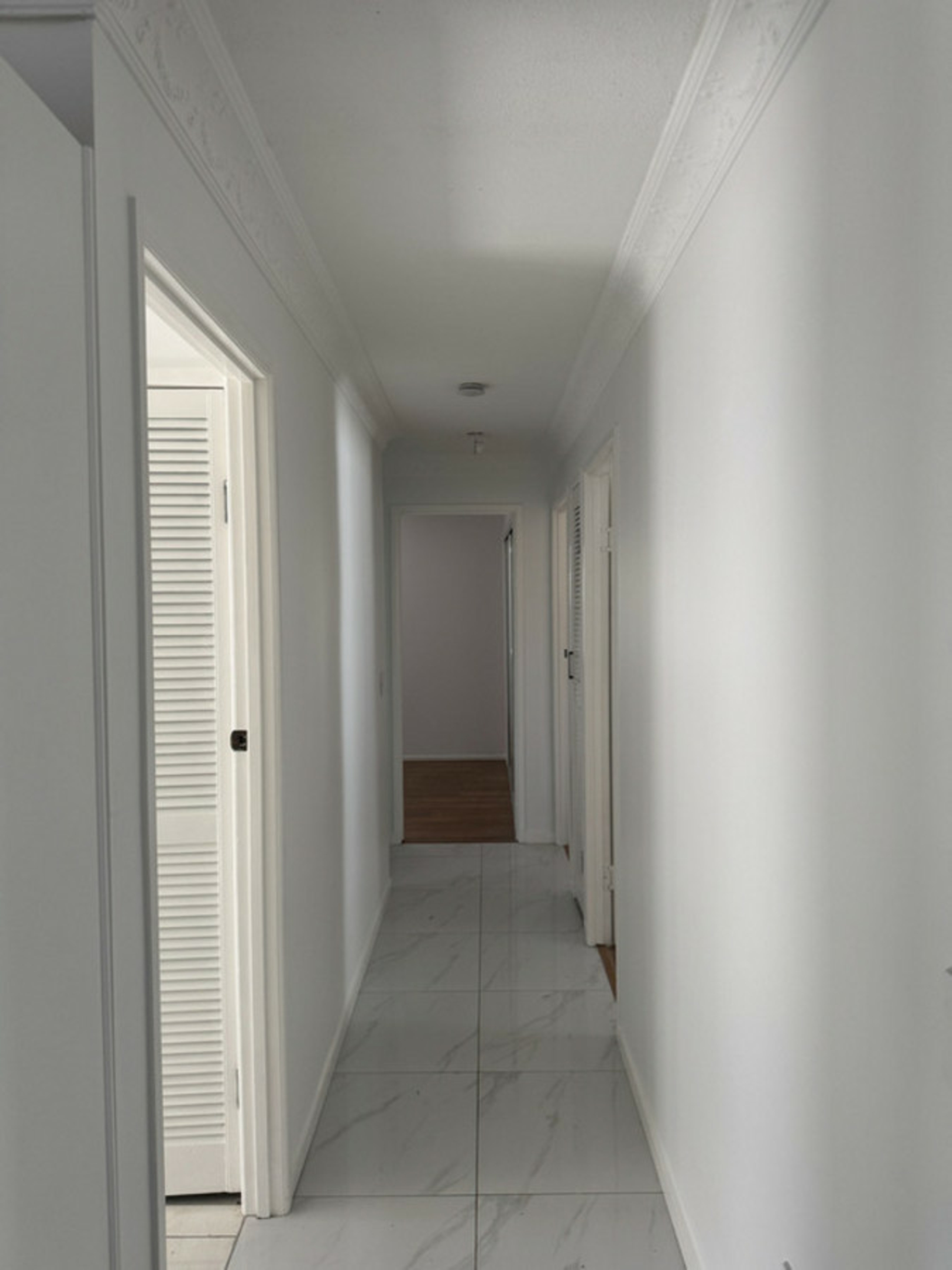 7 Sonia St, Miami QLD - House for Rent - LJ Hooker