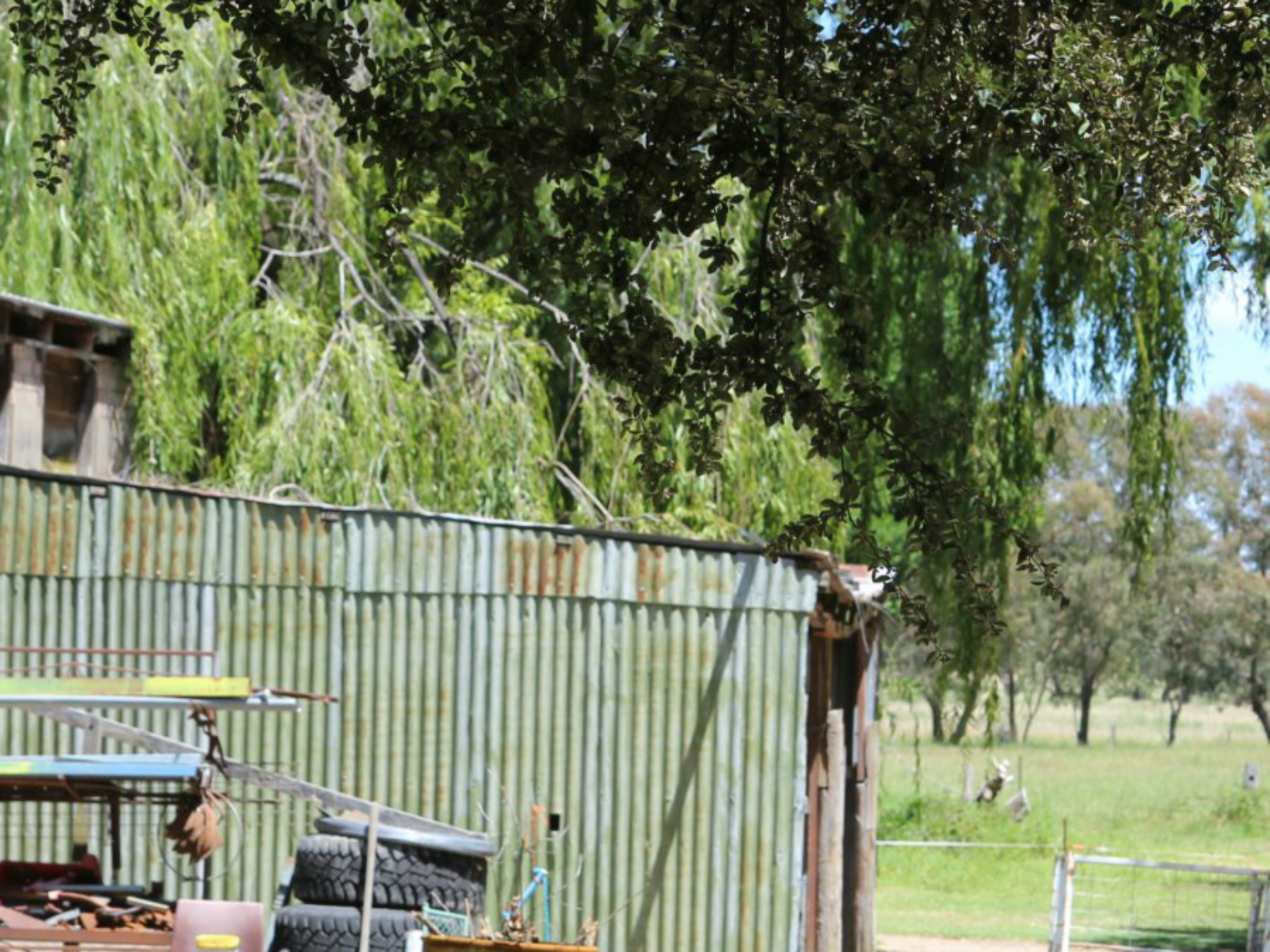 19 Grafton Street Red Range NSW - Property Details - LJ Hooker