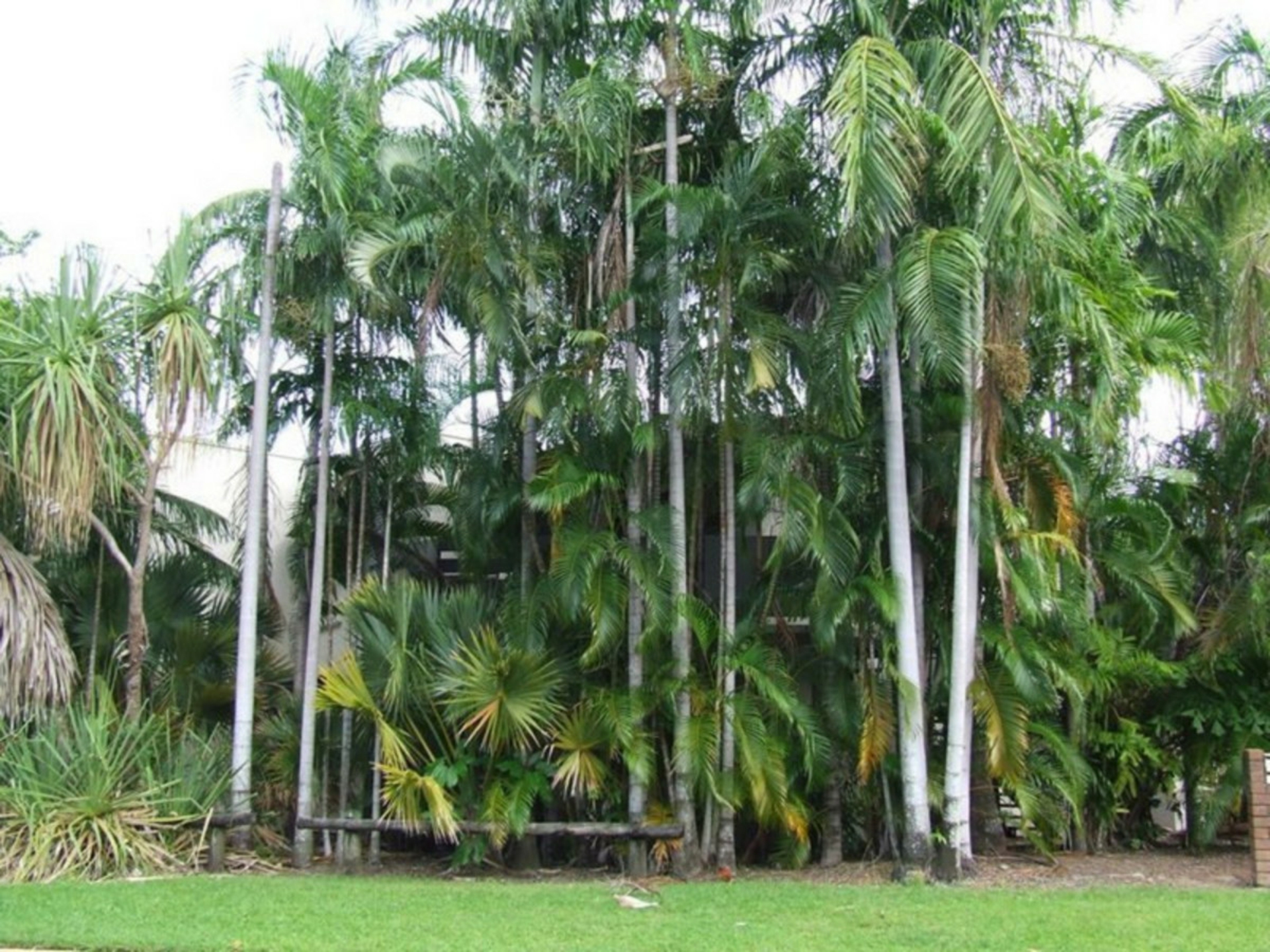 57/23 Hudson Fysh Avenue Parap NT - Property Details - LJ Hooker