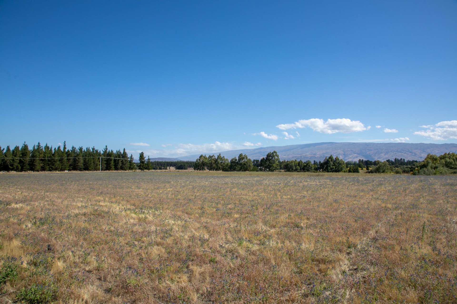 21 Thyme Fields Road Alexandra Central Otago / Lakes District ...