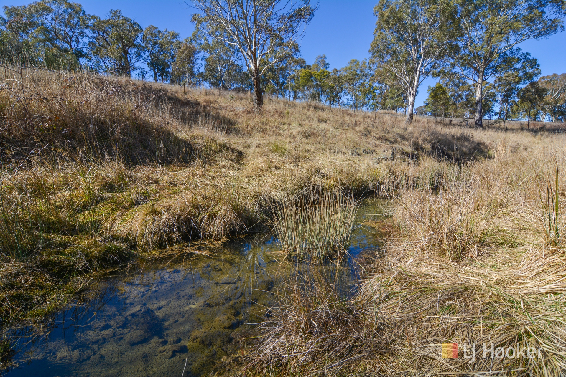 Lot 12 Portland Cullen Bullen Road Portland NSW - Lifestyle for Sale ...
