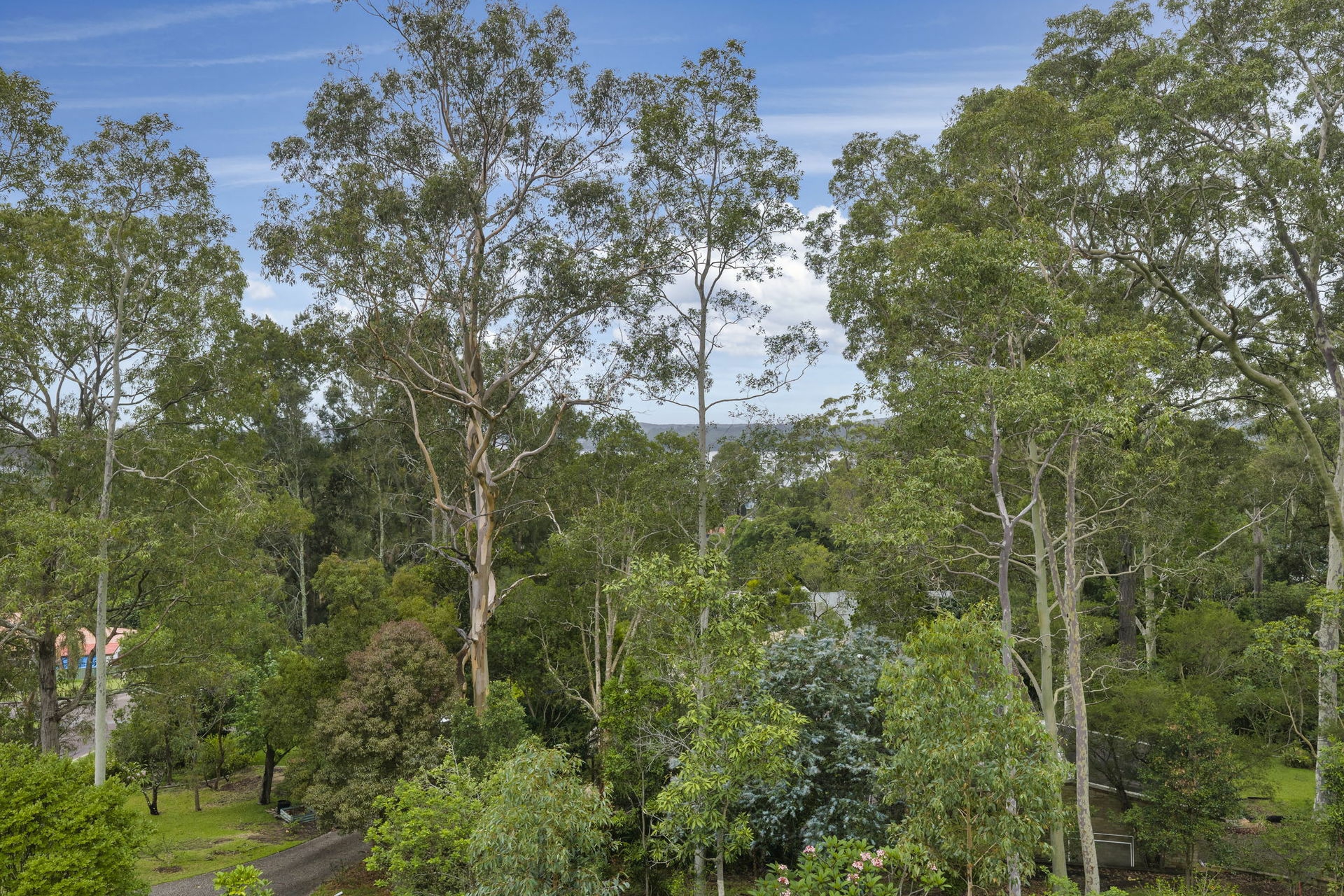 31 Jabiru Street Carey Bay NSW - Residential for Sale - LJ Hooker