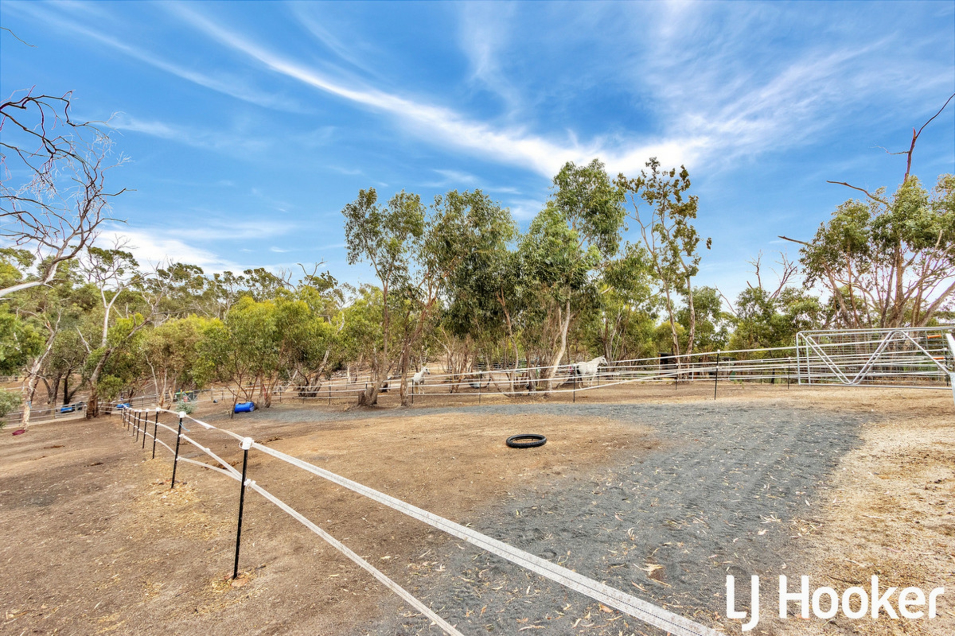 163 Bassnet Road Humbug Scrub SA - Property Details - LJ Hooker