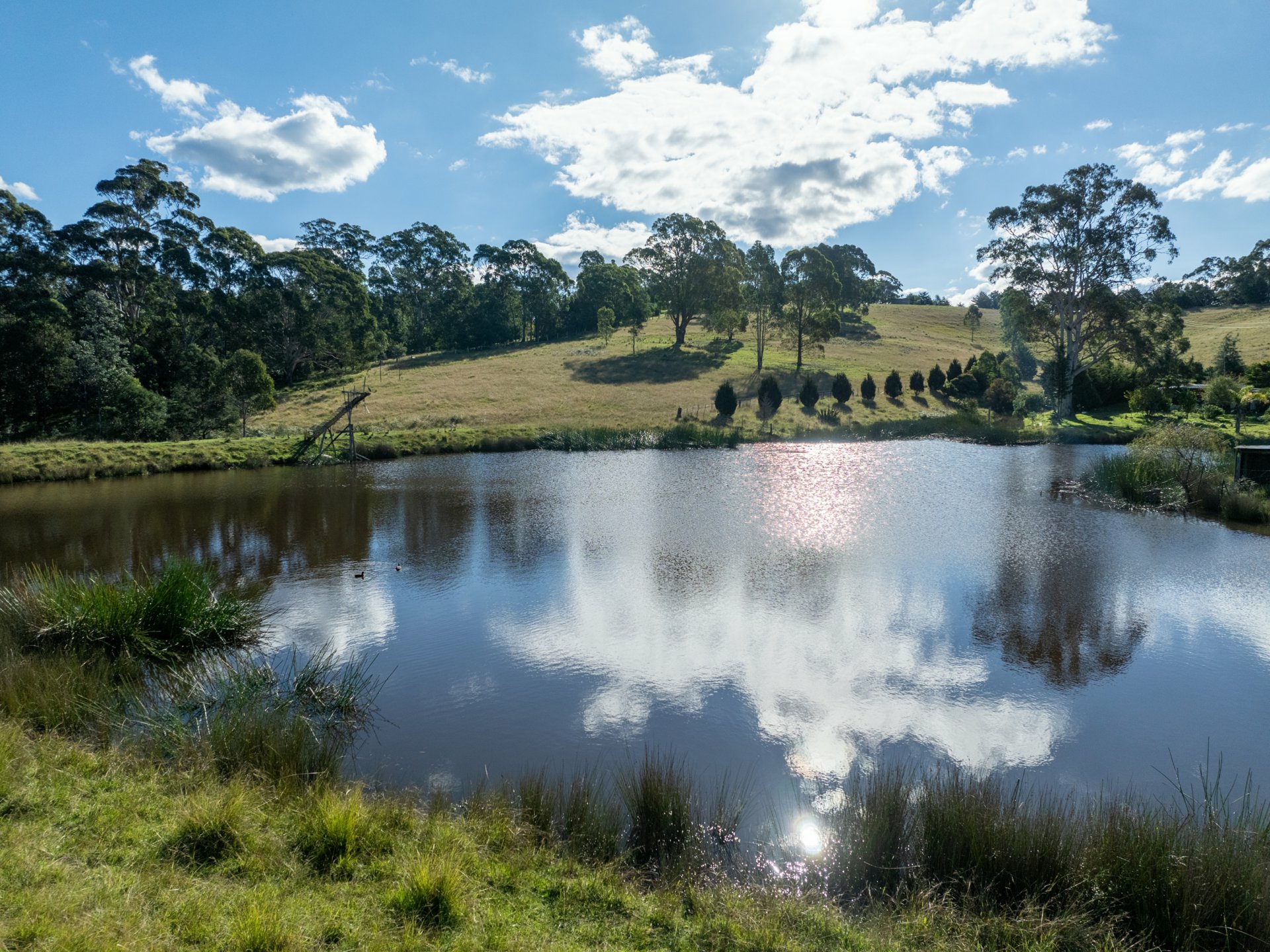 50 Stockridge Road Brogo NSW - Residential for Sale - LJ Hooker