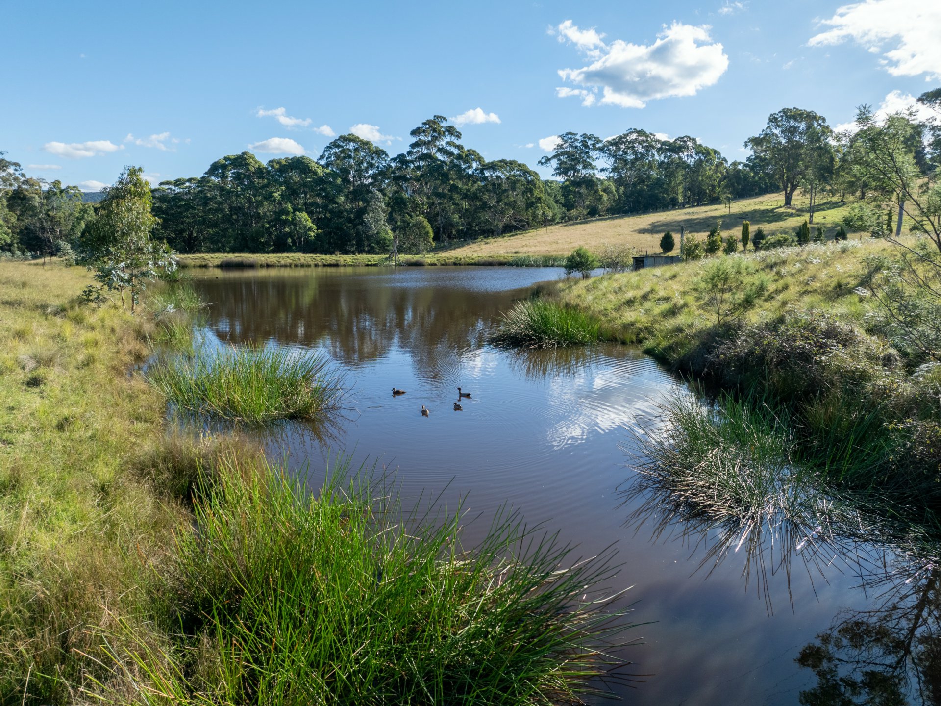 50 Stockridge Road Brogo NSW - Residential for Sale - LJ Hooker