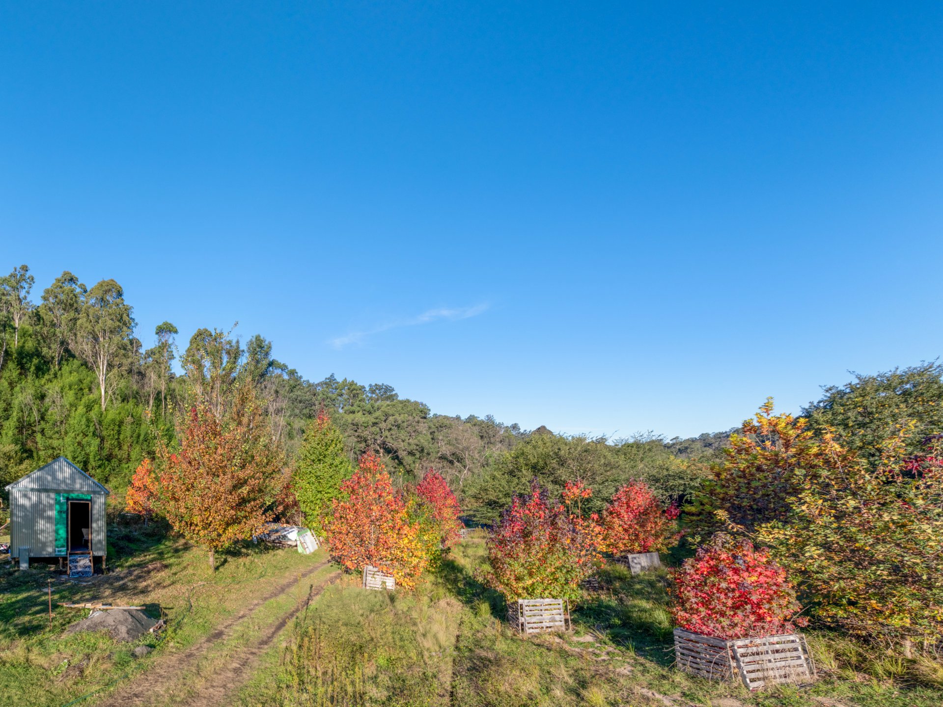 1020 Upper Brogo Road Brogo NSW - Property Details - LJ Hooker