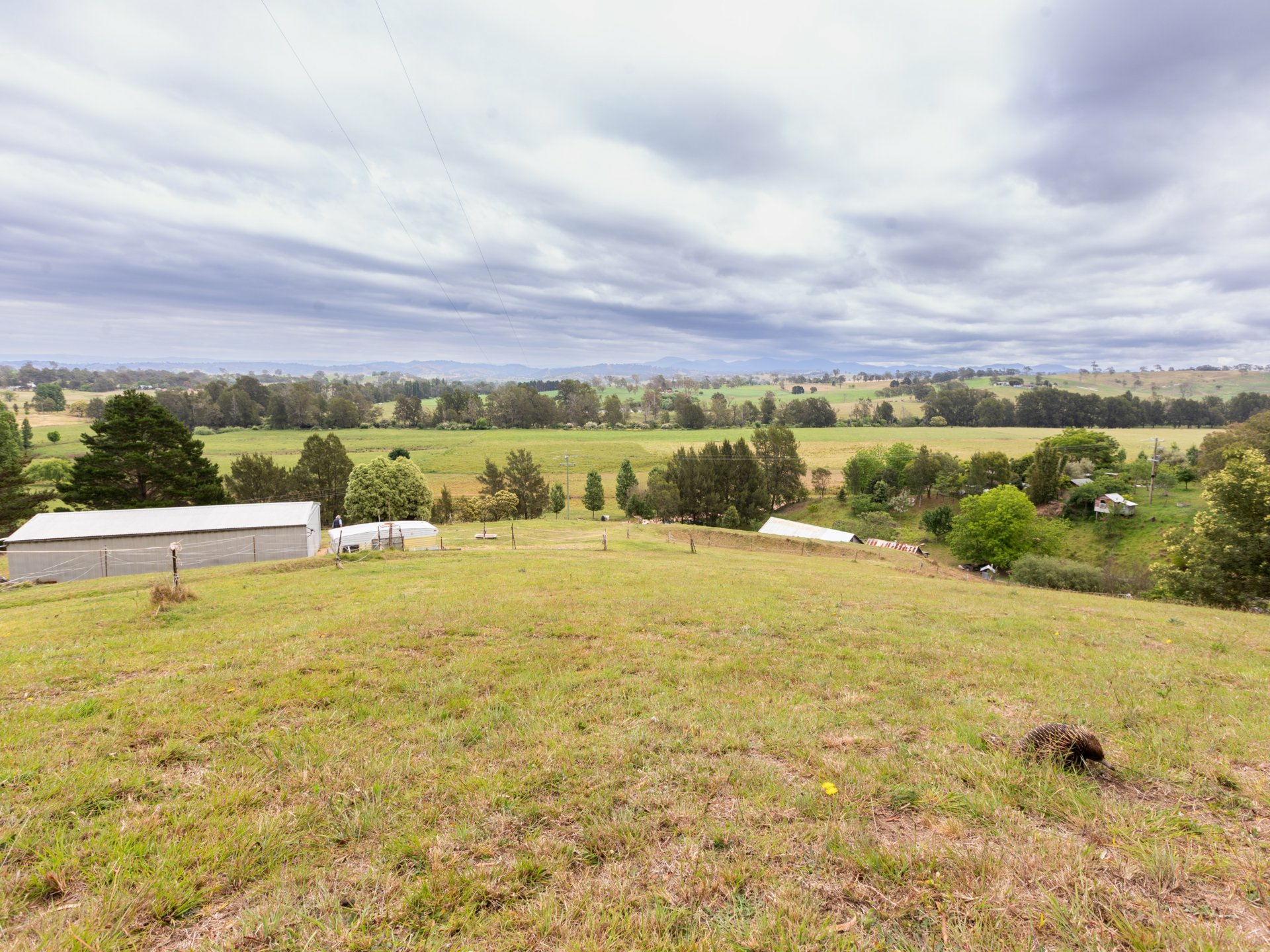 144 Murrays Flat Road Tarraganda NSW - Property Details - LJ Hooker