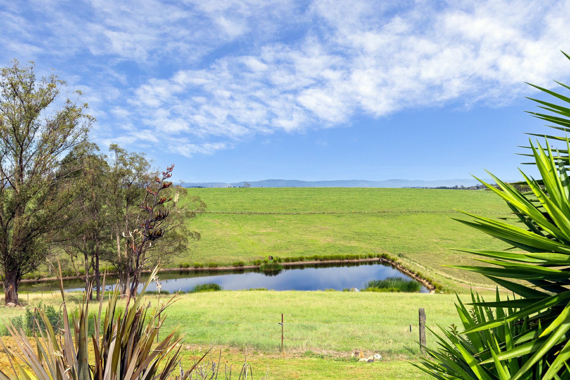 153 Rosedale Lane Candelo NSW - Property Details - LJ Hooker