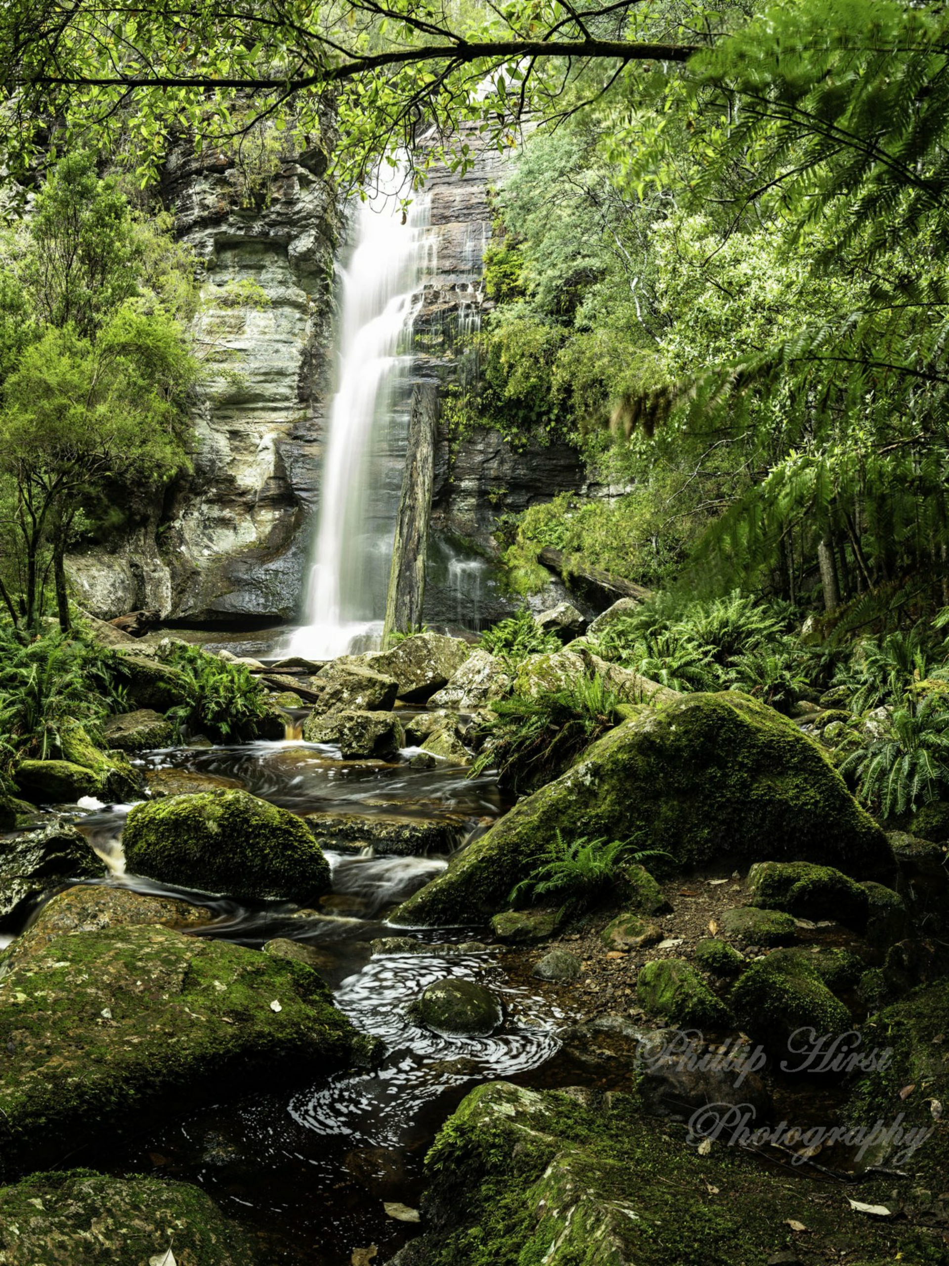 17 Sunsail Street Snug TAS - House for Sale - LJ Hooker